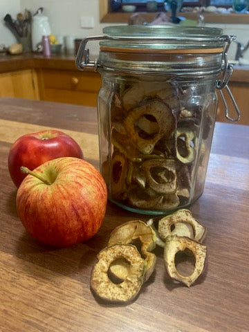 Home Fruit Drying – Teros