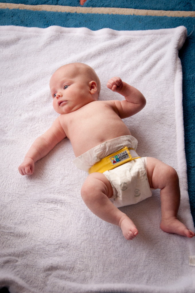 Eenee Stretch Gripper Belt – Teros